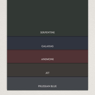 PAINT SAMPLE PACK - Darks | House of Hackney – House of Hackney US