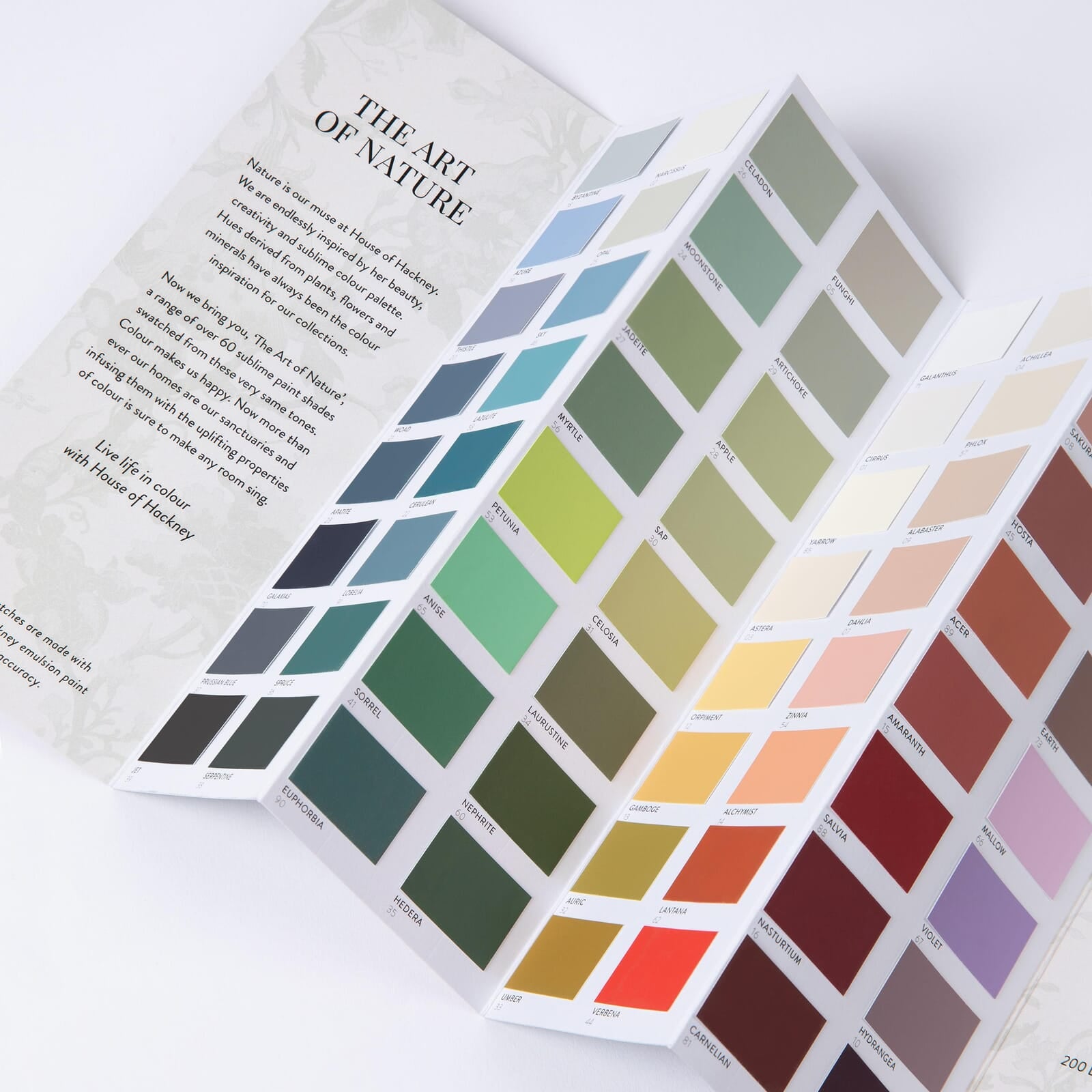 Paint Chip Color Card – House of Hackney US